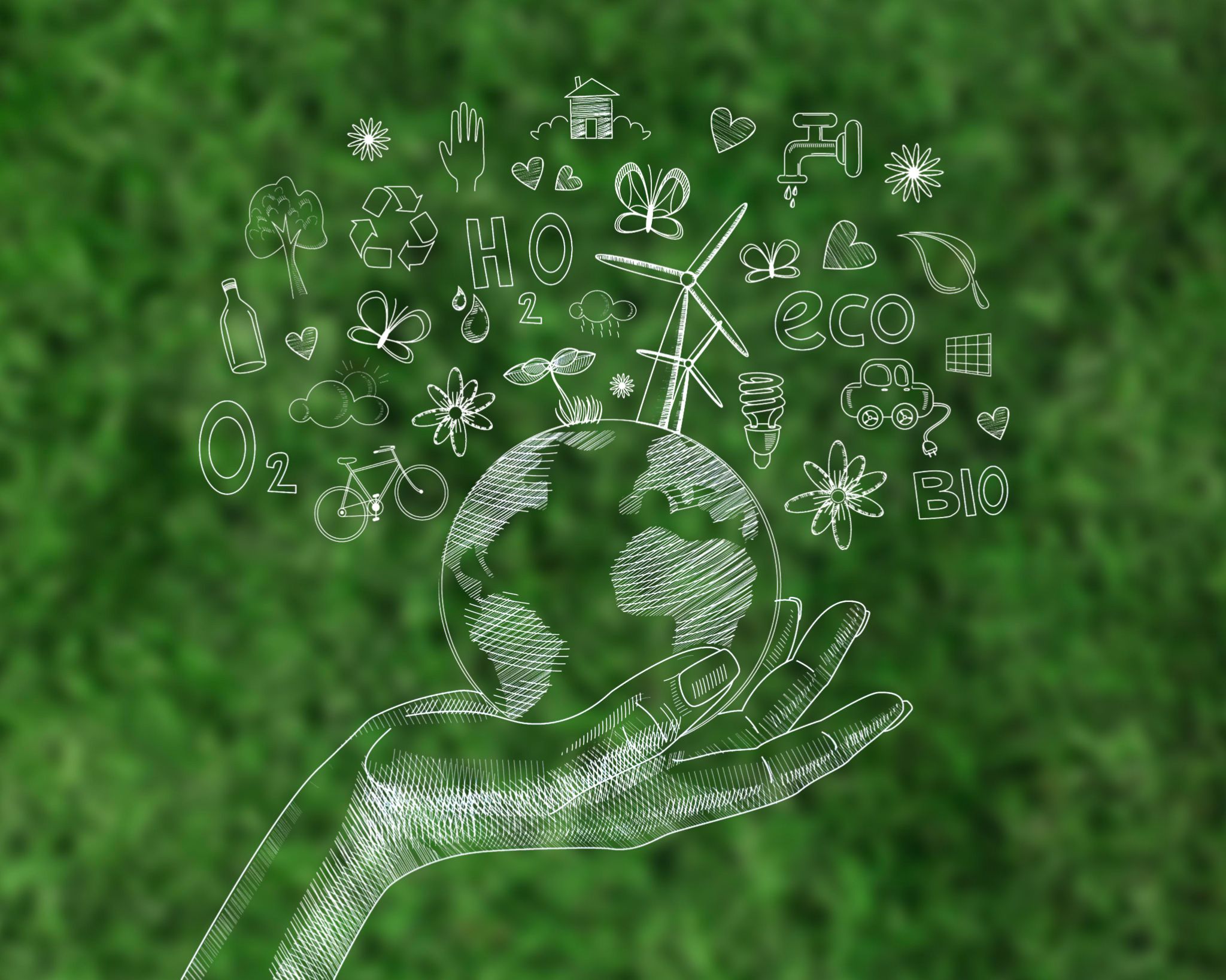 What Is B Corp Certification and What Does It Mean for 3PL’s?